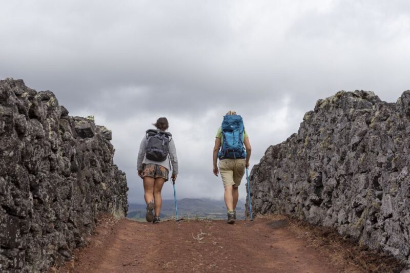 Madalena: Criação Velha Walking Tour - A Scenic Introduction to Pico’s Unique Landscape