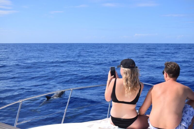 Madeira: 2.5-Hour Whale and Dolphin-Watching Cruise - Pricing & Value: Is It Worth It?