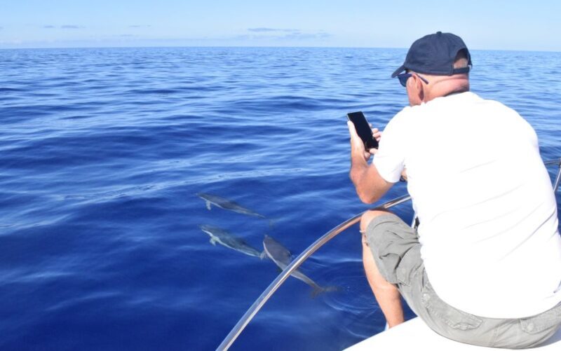 Madeira: 2.5-Hour Whale and Dolphin-Watching Cruise - Practical Tips for Your Trip