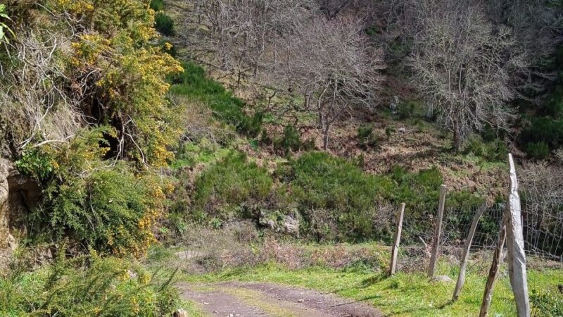 Madeira all day jeep nature tours. - The Real-World Perspectives