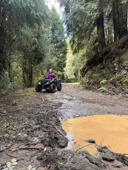 Madeira: ATV or QUAD off-road private adventure Santana - Key Points