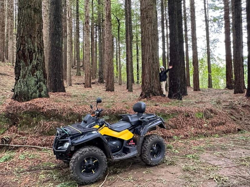 Madeira: ATV or QUAD off-road private adventure Santana - The Sum Up