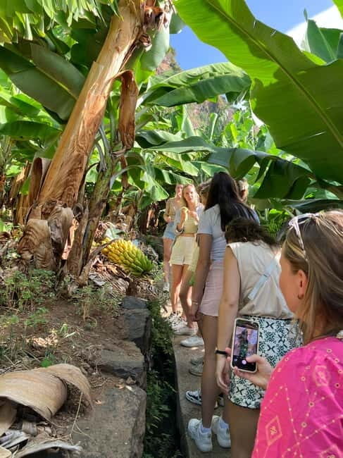 Madeira: Banana Plantation Guided Tour with Tasting - Key Points