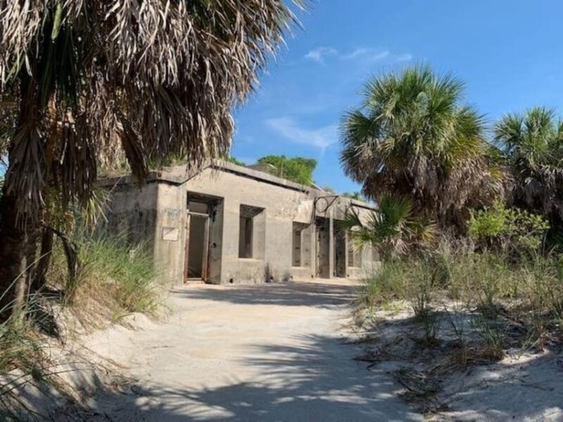 Madeira Beach: Egmont Key Snorkeling and Dolphin Cruise - Practical Details and Tips