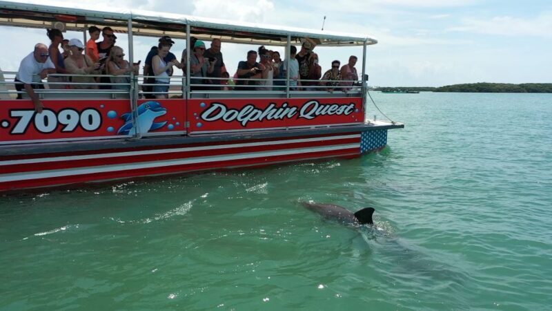 Madeira Beach: Guided Dolphin Watching Eco-Friendly Cruise - How the Tour Supports Eco-Friendly Tourism