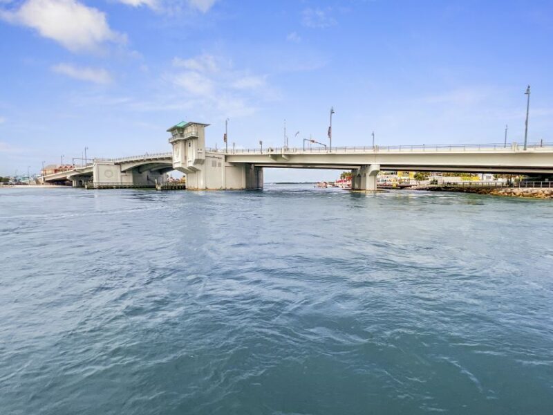 Madeira Beach: Guided Dolphin Watching Eco-Friendly Cruise - Enjoying Your Dolphin Watching Cruise in Madeira Beach