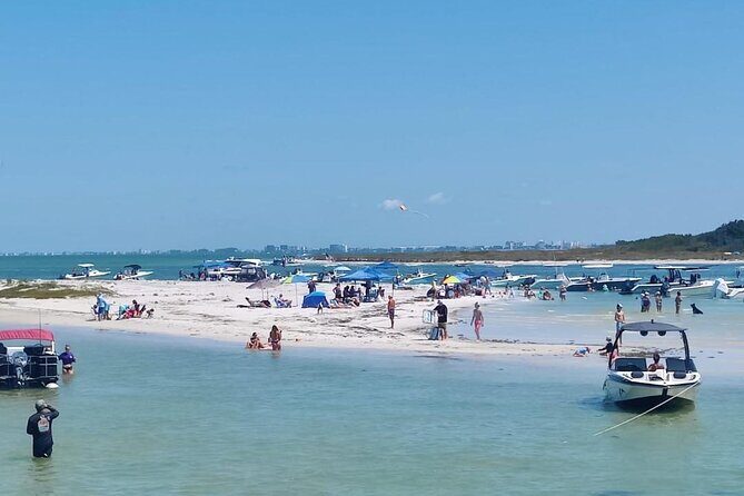 Madeira Beach - Shell Key - Dolphins - Half Day Private Boat Tour - The Value of This Tour