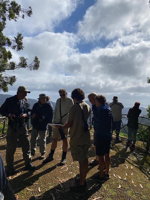 Madeira: Birdwatching - The Endemics - Final Thoughts