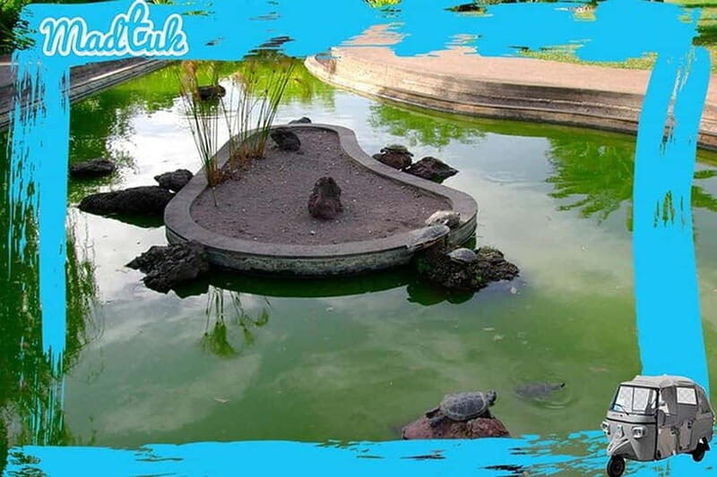 Madeira: Botanical Gardens + Old Town Tuk-Tuk Tour by MadTuk - Key Points