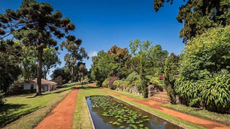 Madeira: Botanical, Monte Palace, and Palheiro Gardens - What the Guides Bring to the Table