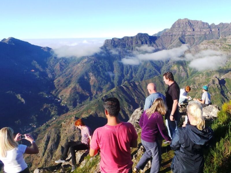 Madeira: Cabo Girao, Jeep Tour Adventure and Wine Tasting - Who This Tour Is Perfect For