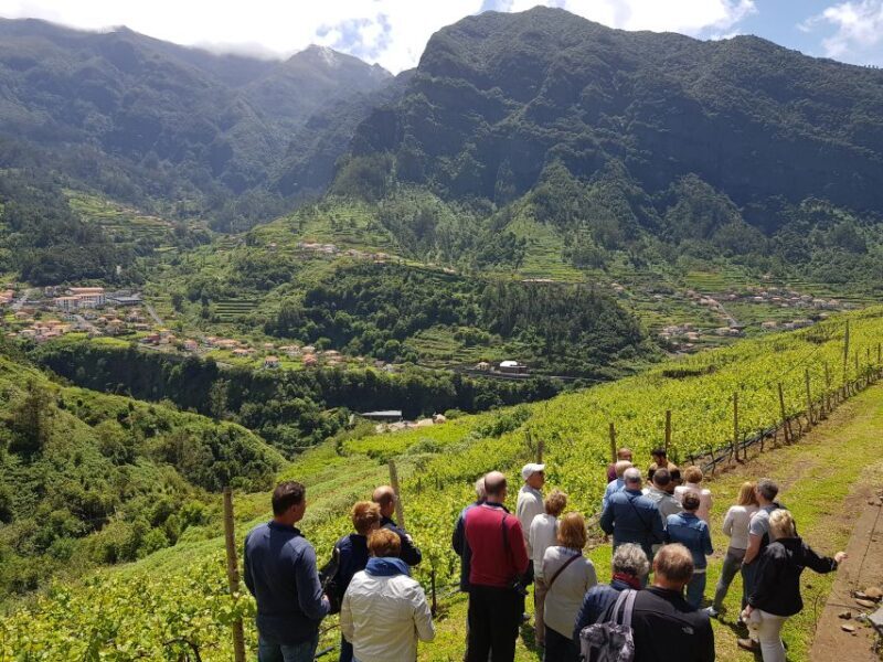 Madeira: Cabo Girão, Wines Experience and Dolphins Watching - FAQ