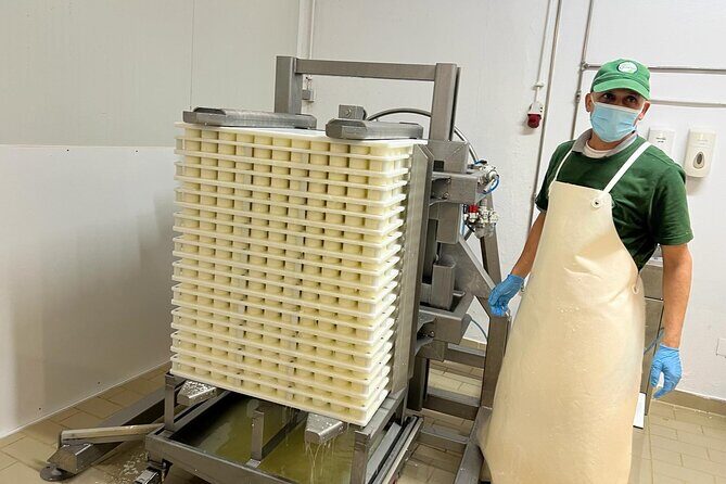 Madeira Cheese Tasting and Tea Tour - FAQ