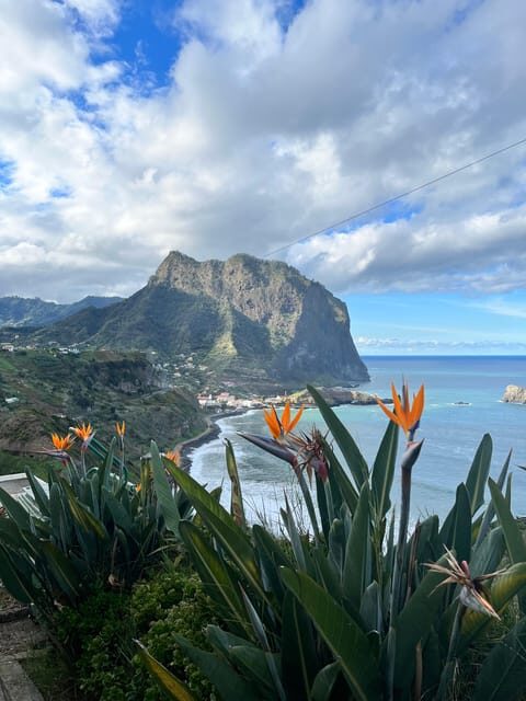 Madeira: Cliff Hanger Vereda Larano Hike Machico - Madeira: Cliff Hanger Vereda Larano Hike Machico — An Authentic Outlook on Island Nature