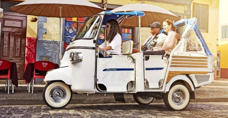 Madeira: Customized 3, 4 or 6-Hour Tour - Transportation and Group Size