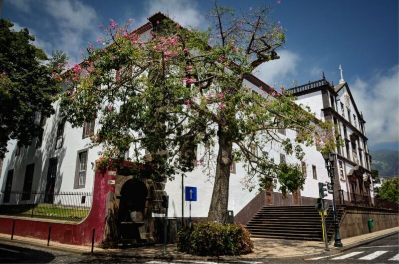 Madeira: Customized 3, 4 or 6-Hour Tour - Final Thoughts