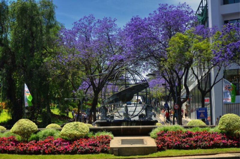 Madeira: Customized 3, 4 or 6-Hour Tour - FAQ