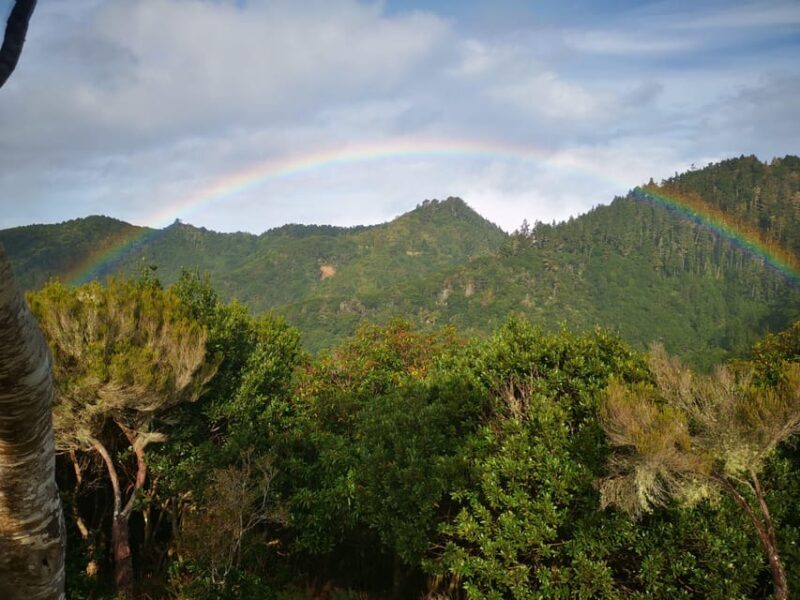 Madeira E-Buggy Adventure: 4x4 thrill & epic views! Book now - FAQ