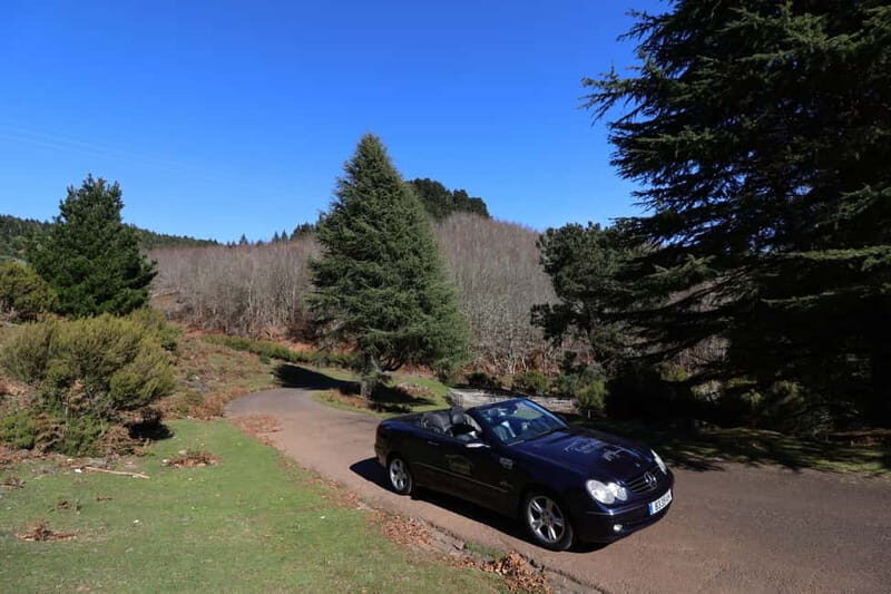 Madeira: East Coast Cabriolet Road Trip - Who Would Love This Tour?
