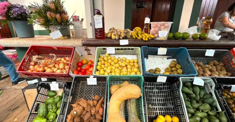 Madeira: East Coast, Sao Lourenço & Local farmers' market - The Pickup and Transportation: Comfort and Convenience