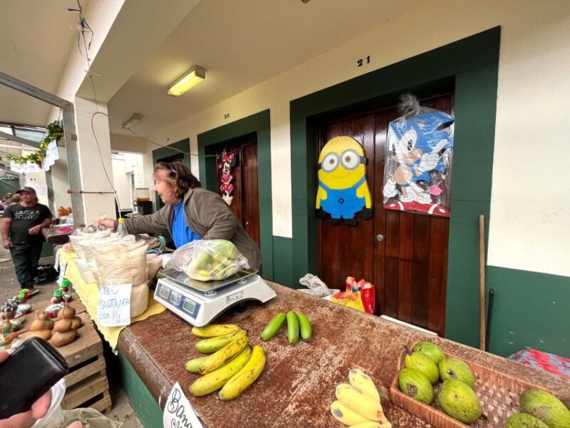 Madeira: East Coast, Sao Lourenço & Local farmers' market - Scenic Views and Natural Wonders: Portela and Ponta de São Lourenço