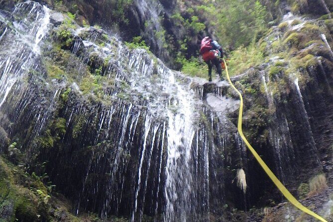 Madeira East Island Special & Levada Walking Tour with Meal and Drinks - What the Reviews Say