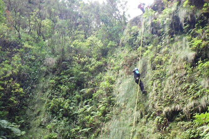 Madeira East Island Special & Levada Walking Tour with Meal and Drinks - Final thoughts: Who is this tour for?