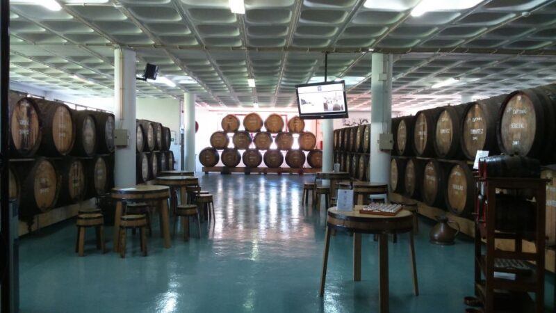 Madeira East or West Private Half-Day Tour by Open-Top Jeep - Detailed Review of the Tour Experience