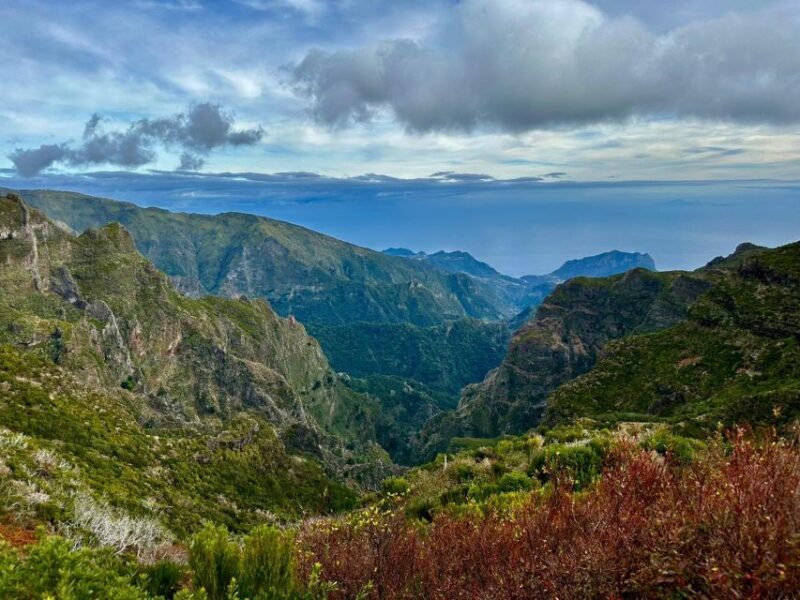 Madeira : East Tour - Santana North Side - FAQs