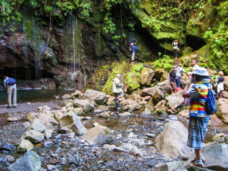 Madeira: Enjoy a Guided Levada Walk in the Rabaçal Valley - Value and Overall Impression