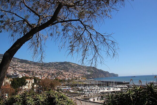 Madeira Essence Half Day Tour for Cruises - Stop 3: Miradouro Pico dos Barcelos
