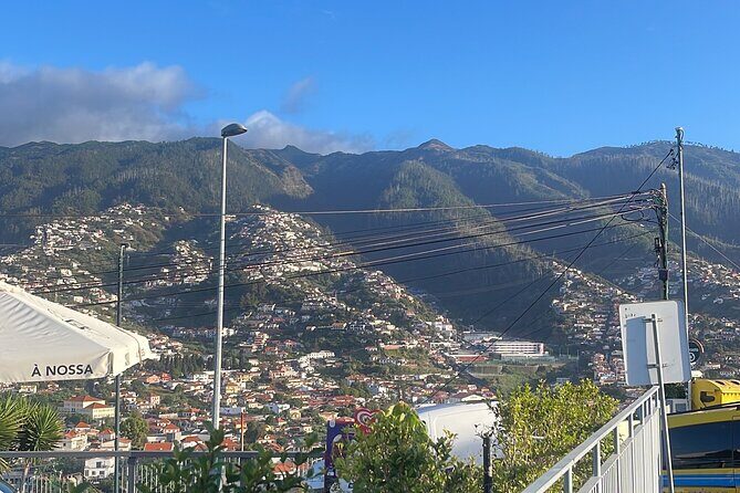 Madeira Essence Half Day Tour for Cruises - Wrapping Up: Funchal Market & Return to Port