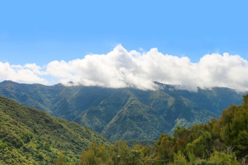 Madeira: Fanal and Seixal Beach Guided Tour - Key Points