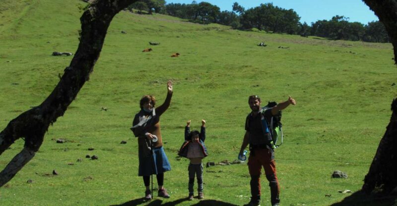 Madeira: Fanal Forest Guided Hiking Tour - The Real Power of This Tour: Authenticity and Personal Touches