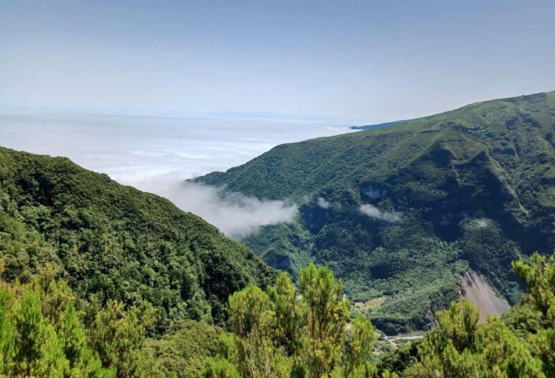 Madeira: Fanal Forest Walk & Meal - Introduction: Why This Tour Stands Out