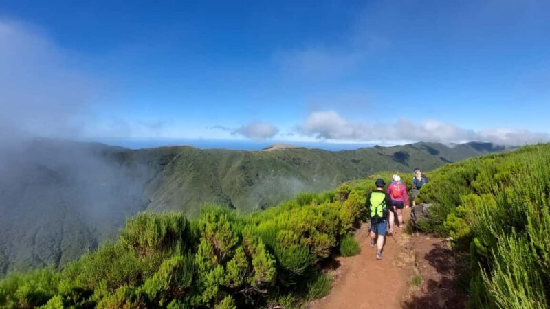 Madeira: Fanal Forest Walk & Meal - Authentic Perspectives from Other Travelers