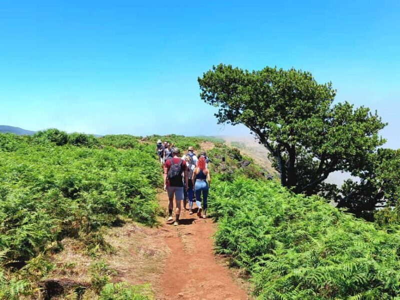 Madeira: Fanal Forest Walk & Meal - FAQ