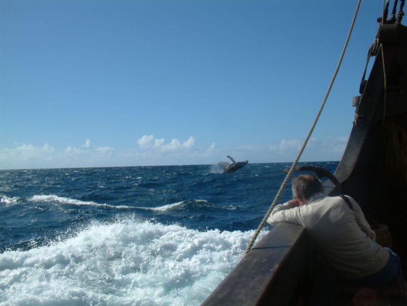 Madeira: Flag Ship Tour aboard Santa Maria de Colombo - The Sum Up