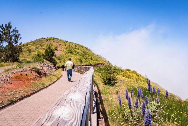 Madeira : Full Day Adult only East 4x4 Tour - Introduction: A Truly Scenic Madeira Adventure