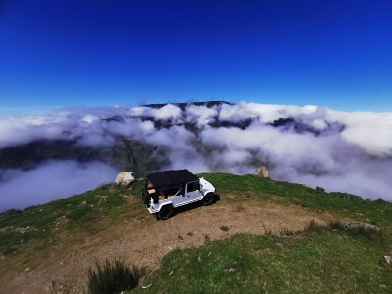 Madeira: Full-Day Jeep Tour, Natural Pools, Seixal & Fanal - Final Thoughts