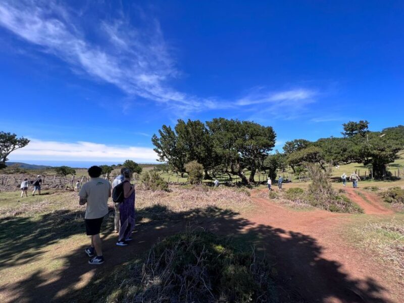 Madeira: Full-Day Jeep Tour with Guide and Pickup - Wrapping Up with Ponta do Sol