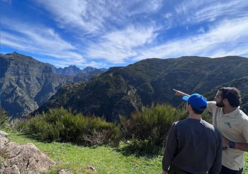 Madeira: Full-Day Jeep Tour with Guide and Pickup - The Bottom Line