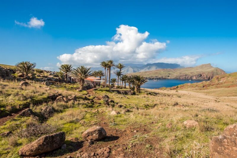Madeira: Full-Day of Activities in Ponta de São Lourenço - Who Will Appreciate This Tour?