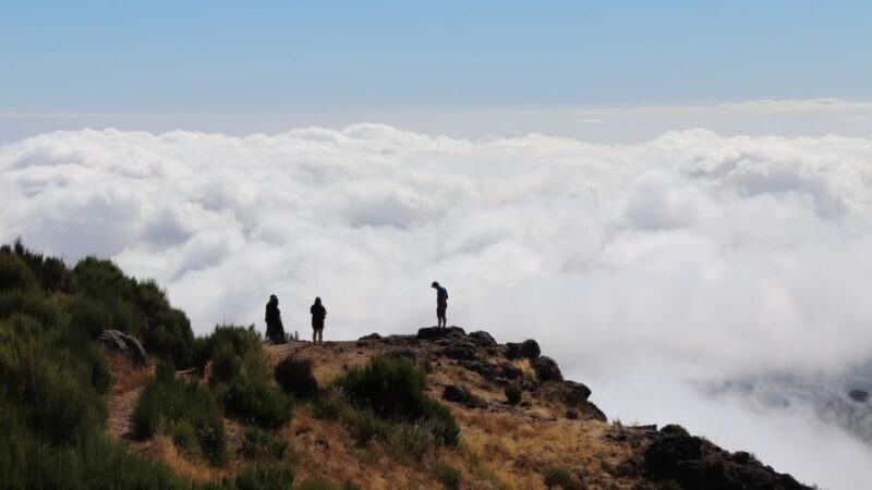 Madeira: Full Day Private Jeep Tour East or West - Key Points