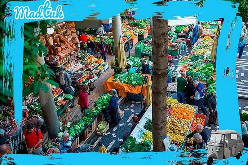 Madeira: Funchal City Historical Tuk Tour Guided by MadTuk - Final Thoughts