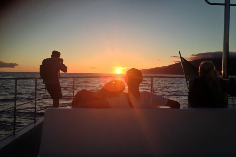 Madeira: Funchal Sunset Tour by Catamaran - Final Thoughts: Is This Tour Worth It?