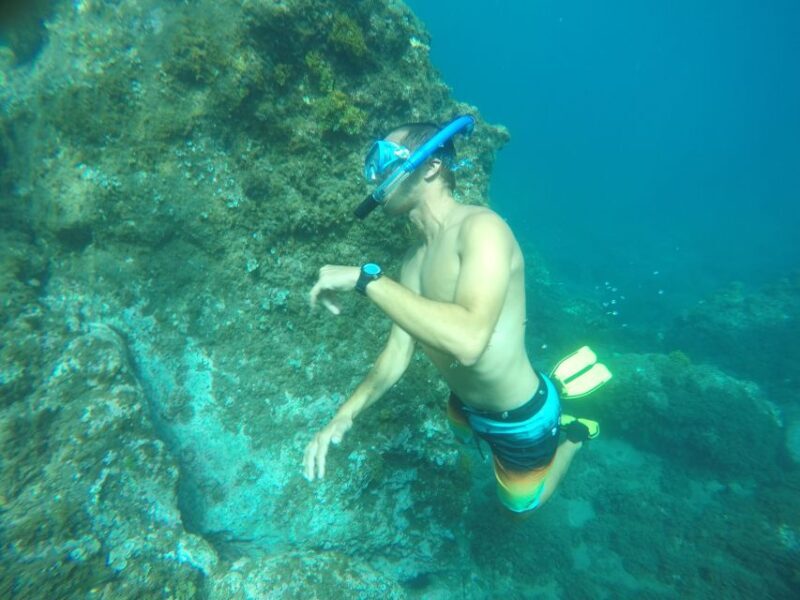 Madeira: Garajau Nature Reserve Kayak and Snorkel Tour - A Practical Look at the Experience