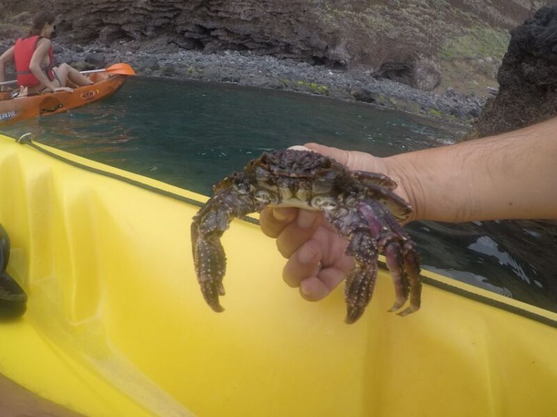 Madeira: Garajau Nature Reserve Kayak and Snorkel Tour - The Sum Up
