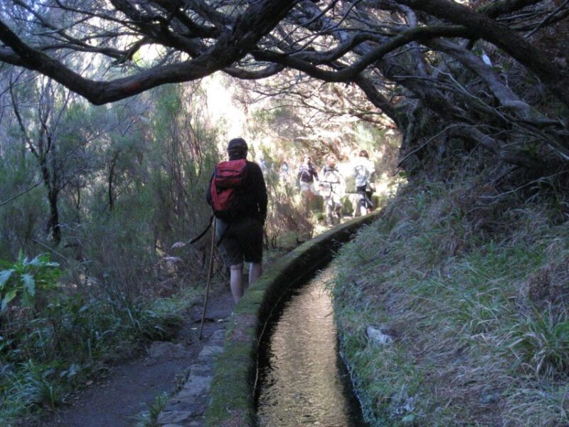 Madeira: Guided Full-Day Rabaçal Walk - The Price and Value Proposition