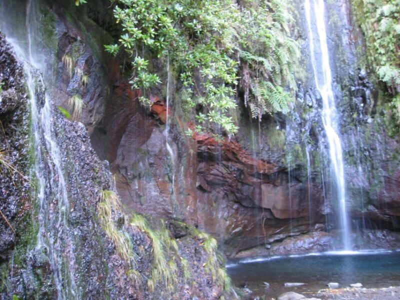 Madeira: Guided Full-Day Rabaçal Walk - Who Should Consider This Tour?